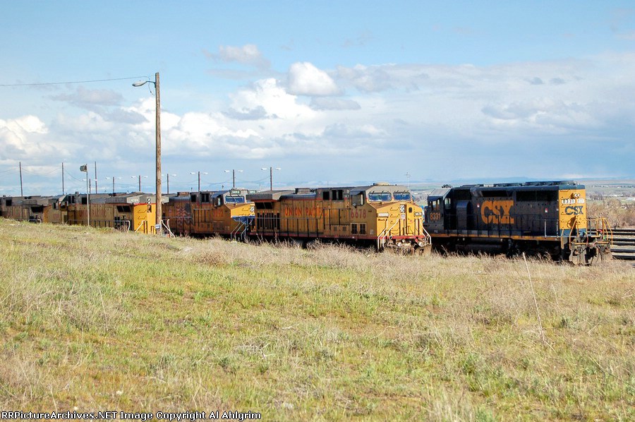CSX 8331 UP 6678, 5892, 9789